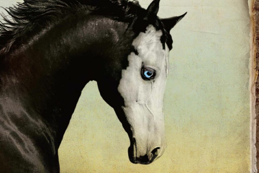 Tzum | Recensie: R.J. Palacio – Pony - Tzum