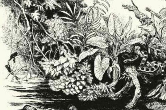 Tzum | Recensie Merijn de Boer - Het Surinamedagboek - Tzum